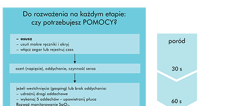 Resuscytacja noworodka - Artykuły - Dzieci - Resuscytacja - SOR ...