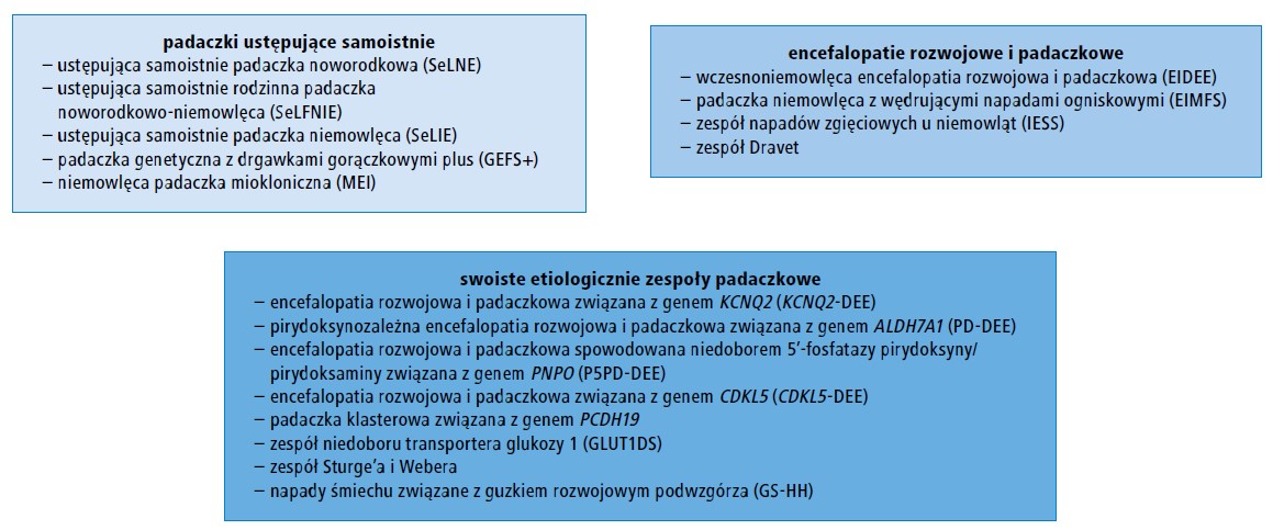 Klasyfikacja i definicje International League Against Epilepsy zespołów ...