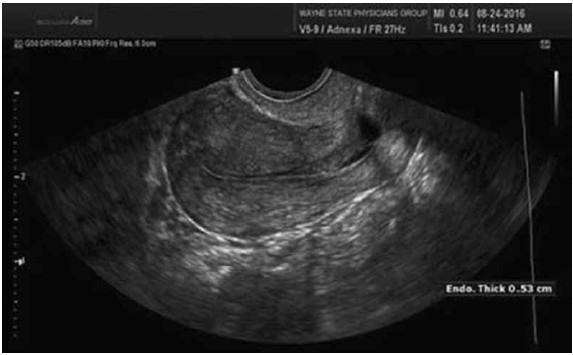 Ultrasonografia praktyczna. Metody obrazowania w diagnostyce ...