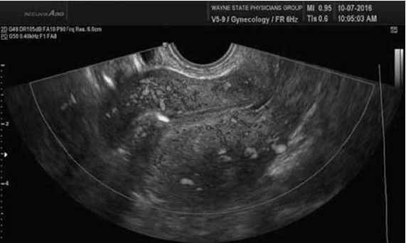 Ultrasonografia praktyczna. Metody obrazowania w diagnostyce ...